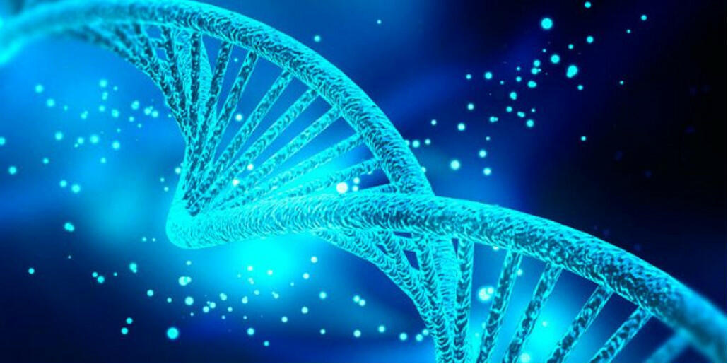 Trong một quần thể tự phối, giả sử xét 3 gen A, B và D; trong đó gen A ...