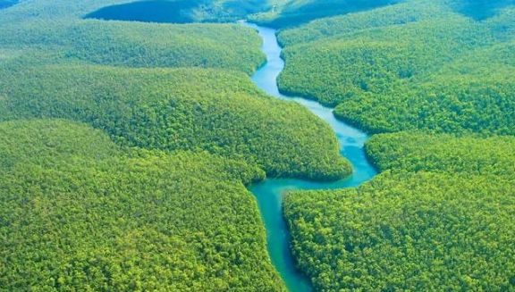 Ở Mĩ La tinh, rừng rậm xích xích đạo và nhiệt đới ẩm tập trung chủ yếu ...